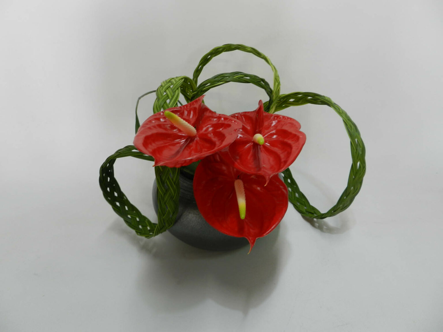 Travail du Flexi Grass - MG Fleurs et Création