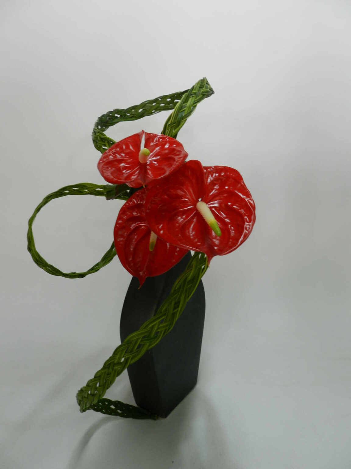 Travail du Flexi Grass - MG Fleurs et Création