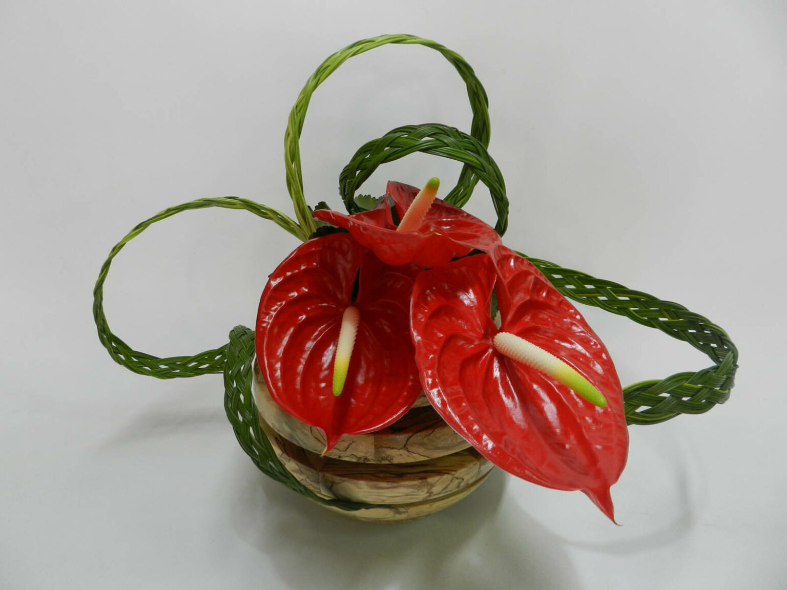 Travail du Flexi Grass - MG Fleurs et Création