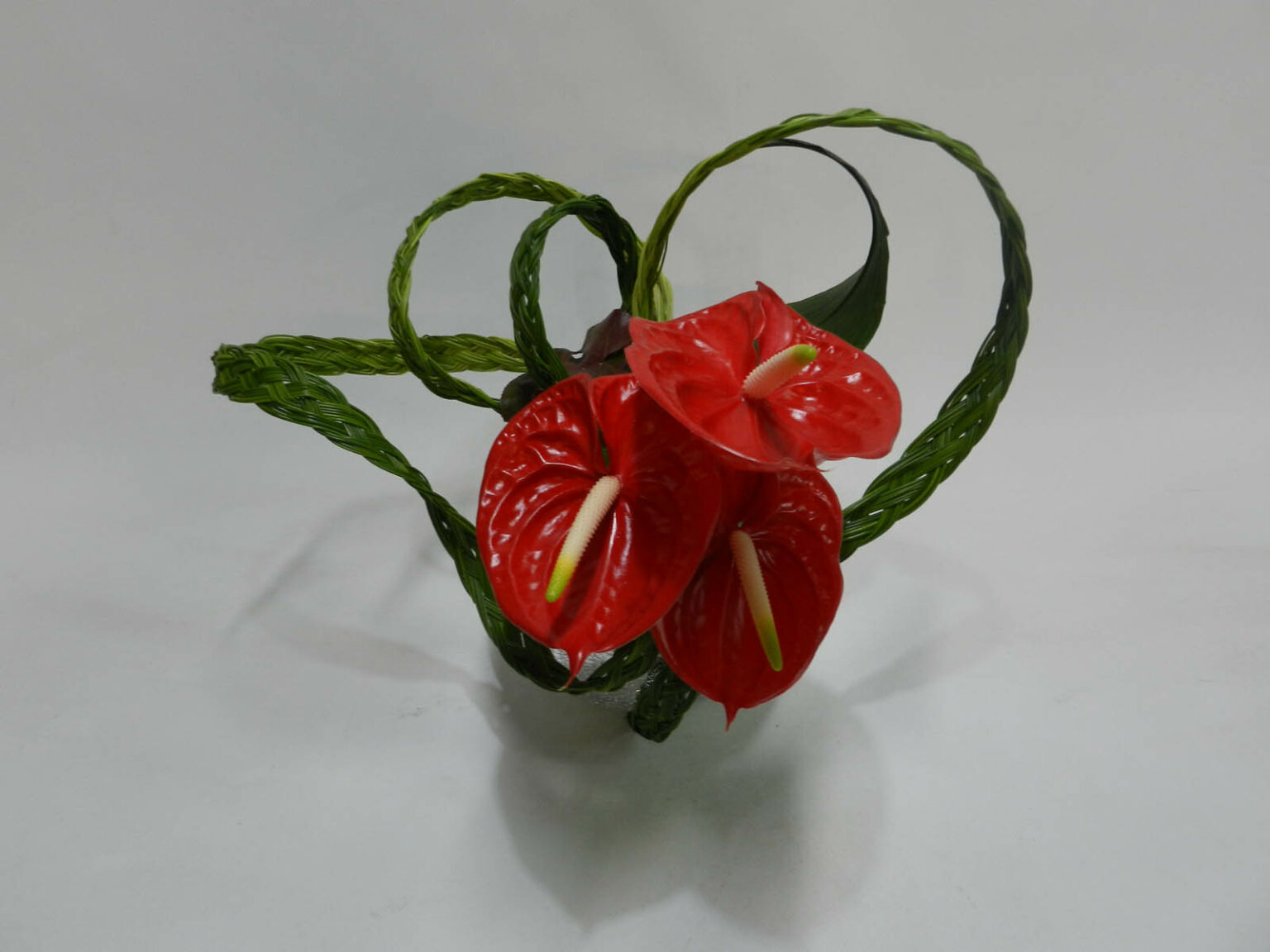 Travail du Flexi Grass - MG Fleurs et Création