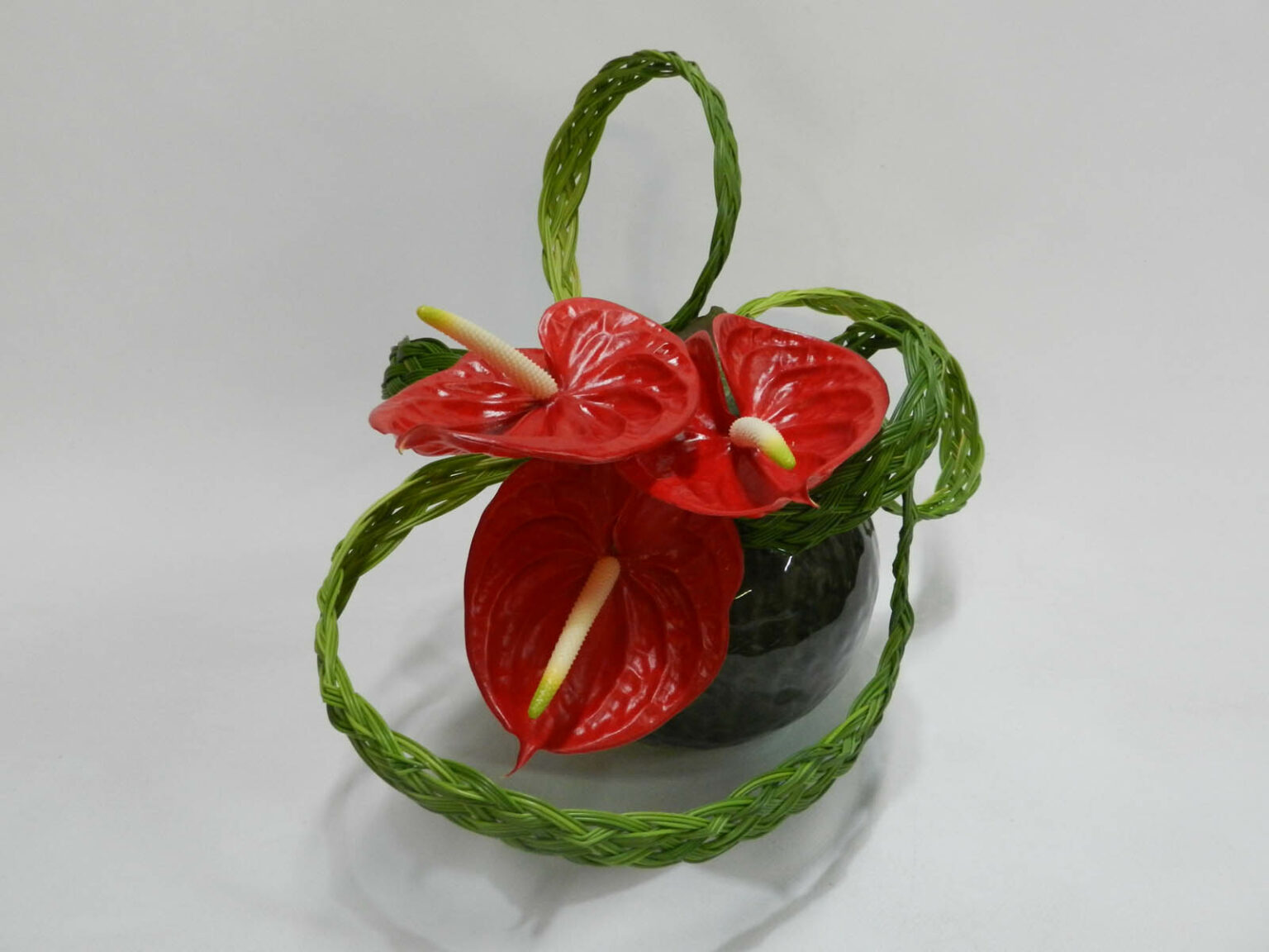 Travail du Flexi Grass - MG Fleurs et Création