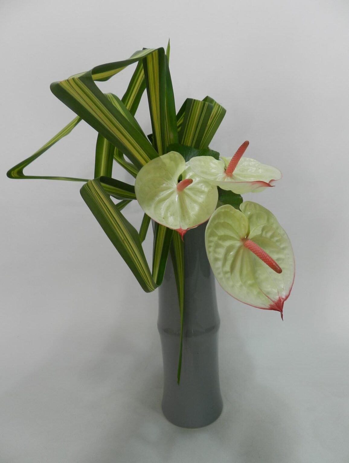 BOUQUET MODERNE - MAI 2024 - MG Fleurs et Création